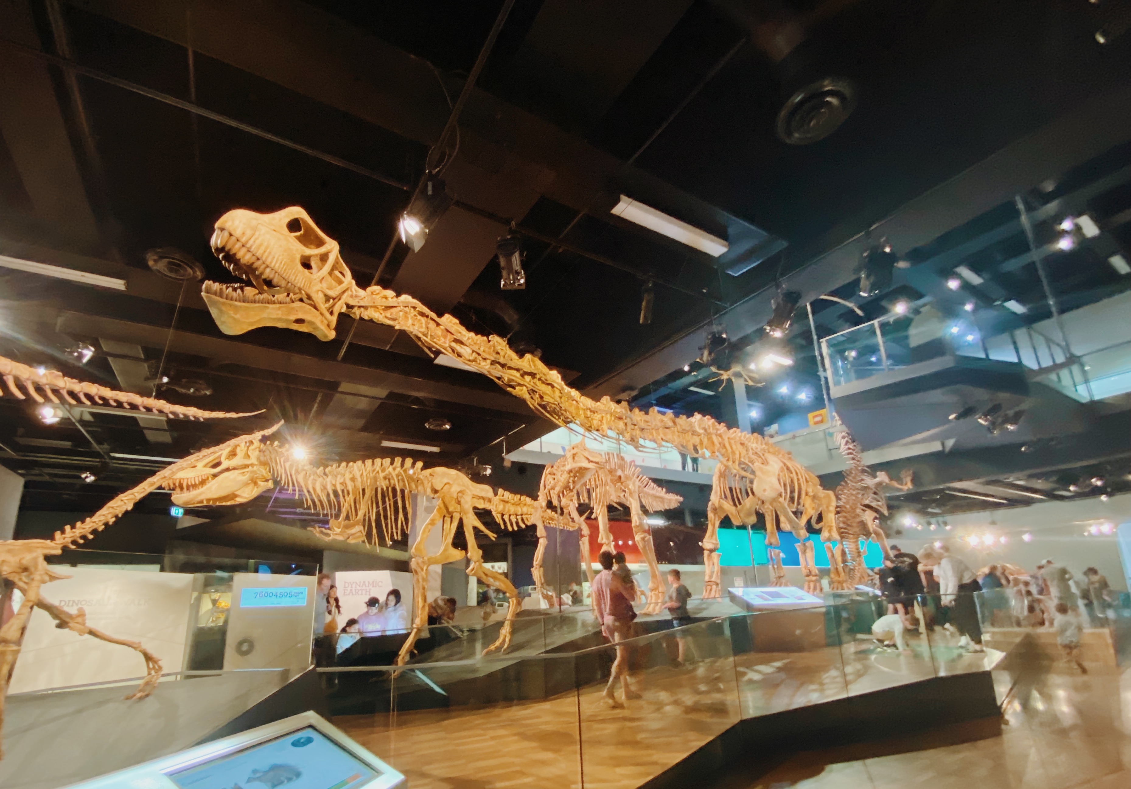 Must Dos in Melbourne – Sylvia's Gap Year