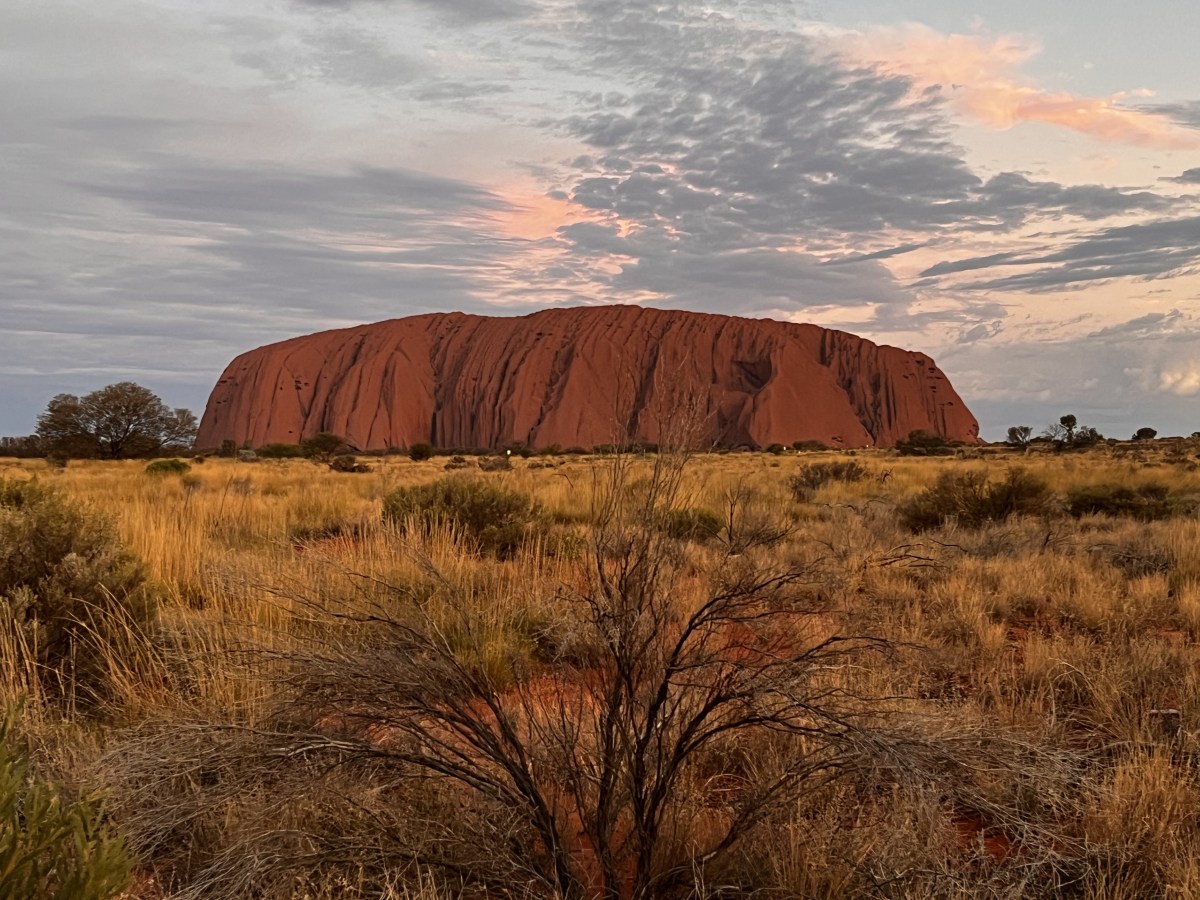 The Outback – Sylvia's Gap Year